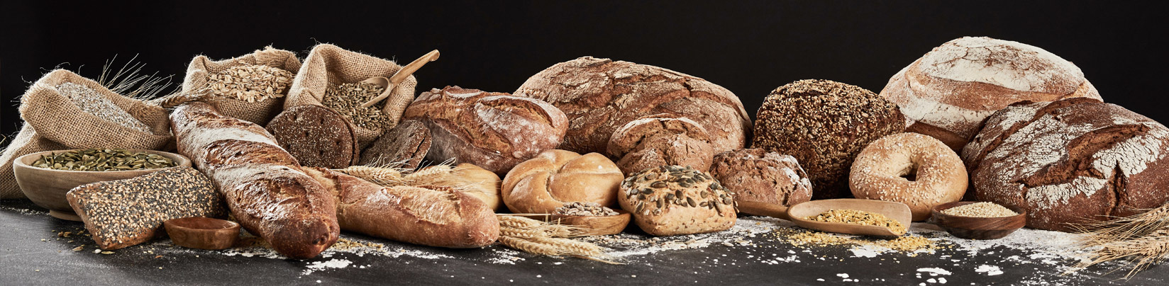 SafeBACK - Das Versicherungskonzept - safeBACK, Magdeburg